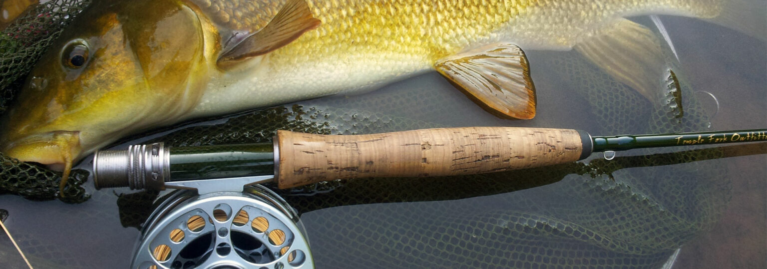 Angelguiding - Geführte Angeltouren | Guided fishing tours